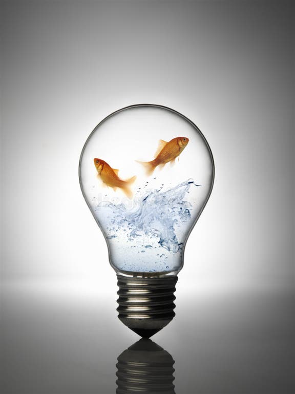 Fish in the bulb stock image. Image of goldfish, aquarium - 8249673