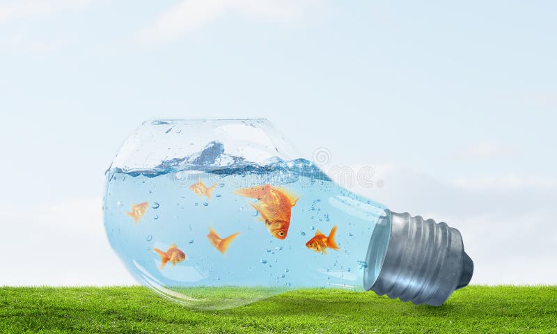 Fish in bulb stock photo. Image of glass, environment - 60408160