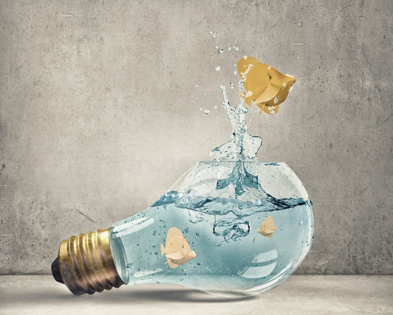 Light Bulb Water Fish Inside Photos - Free & Royalty-Free Stock Photos ...