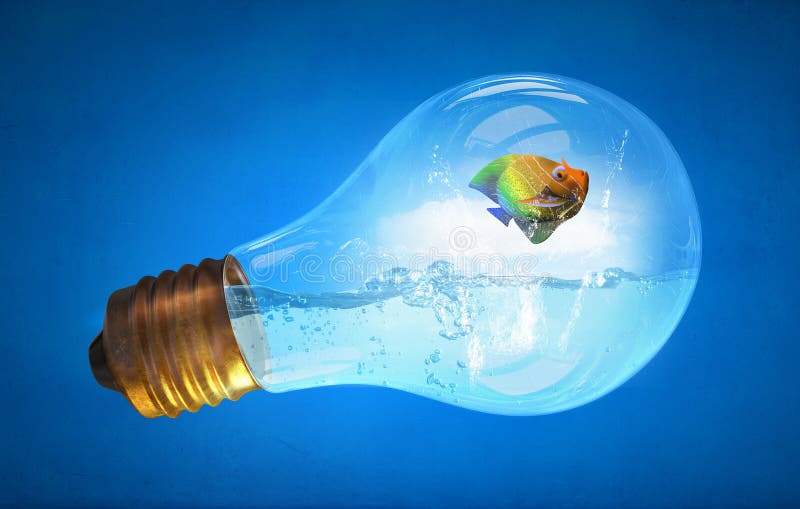 Fish in bulb stock image. Image of light, power, inspiration - 60443577