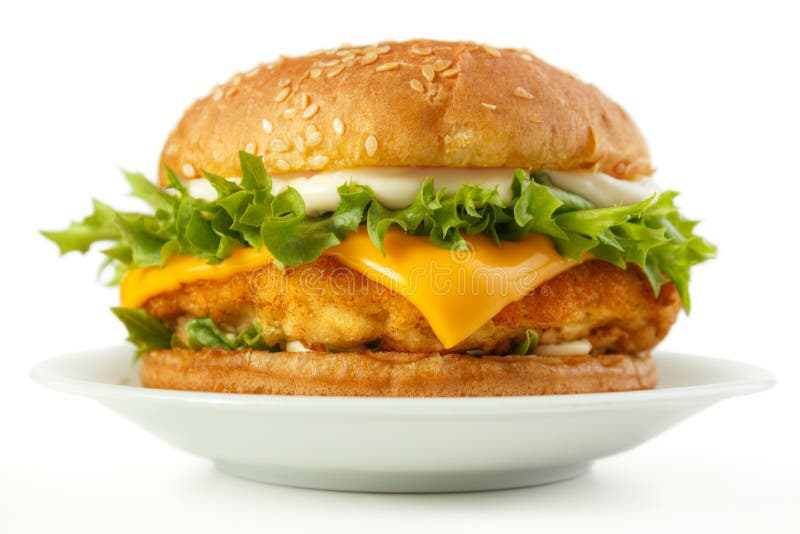Fish burger stock image. Image of plate, fried, burger - 33943837