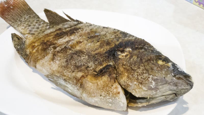 Fish Burned on the White Plate Stock Image - Image of roasted, mockup ...