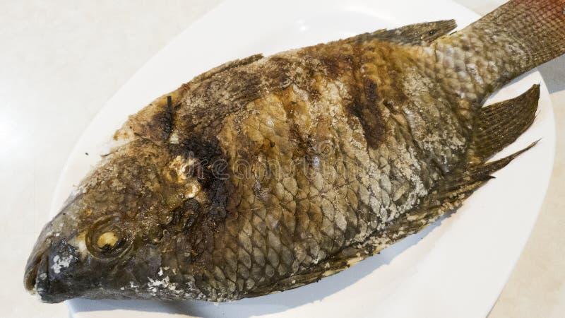 Fish Burned on the White Plate Stock Image - Image of lemon, plate ...
