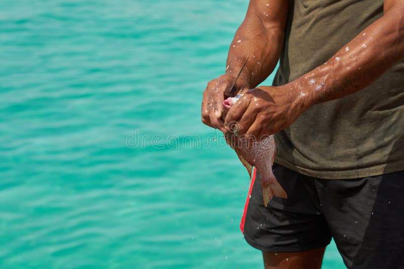 A Fish Butcher on Pier with Sea Water on the Background. Stock Image ...