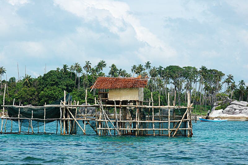 Fish cage stock photo. Image of farming, fresh, coast - 237306744