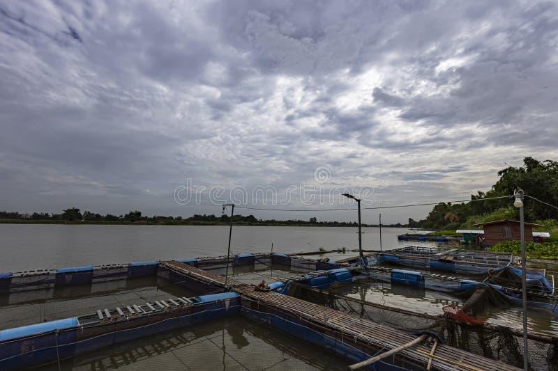 Fish Cages in the Countryside Stock Photo - Image of villages, activity ...