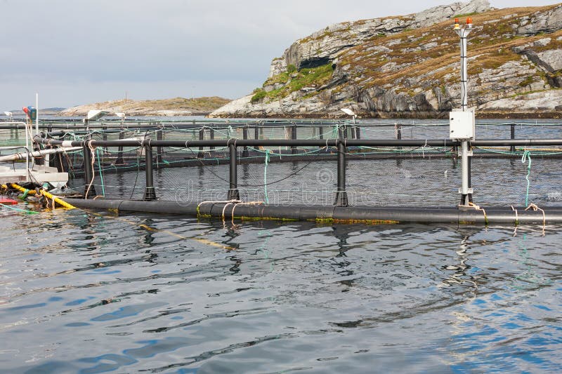 Fish Cages for Fish Farming at Sea Stock Photo - Image of fjord ...