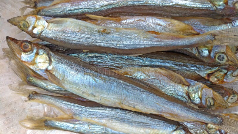 Fish capelin stock photo. Image of crude, pile, background - 134226244