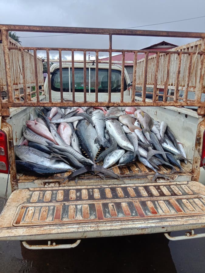 Fish car catering stock image. Image of ikan, fish, catering - 262344803