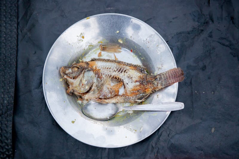 Fish Carcass stock photo. Image of spoon, jungles, carcass - 85715402