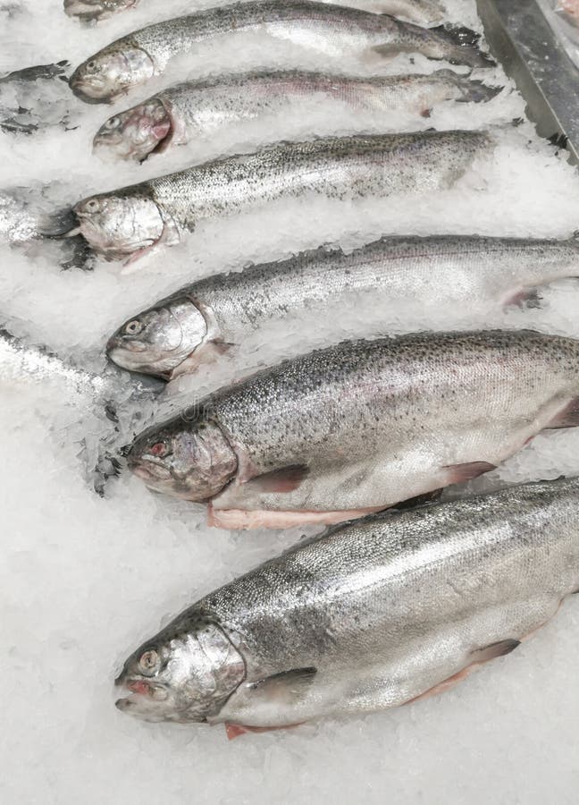 Fish Carcasses in Ice on the Counter Stock Image - Image of ocean ...