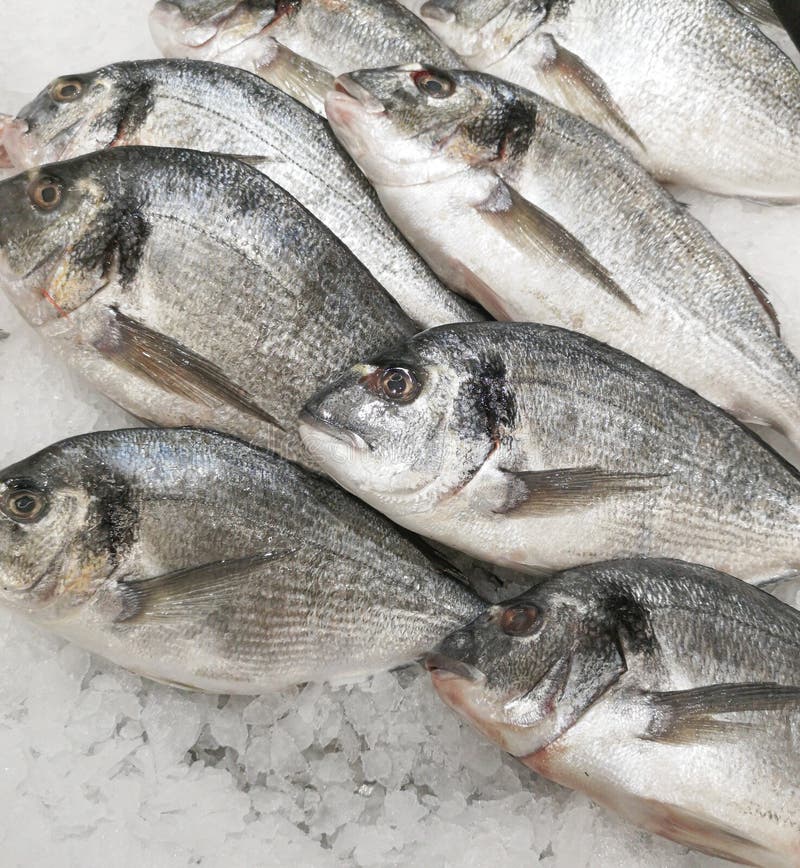 Fish Carcasses in Ice on the Counter Stock Image - Image of animal ...