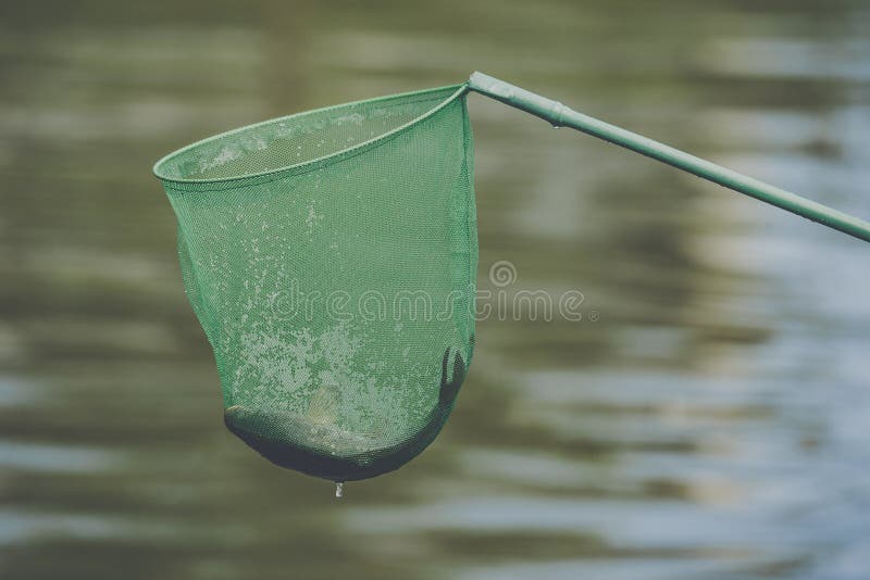Fish Caught in a Green Fishing Net Stock Photo - Image of male, fisher ...