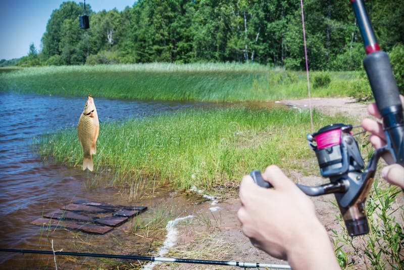 Fisherman and fish hooked stock image. Image of outline - 6146887