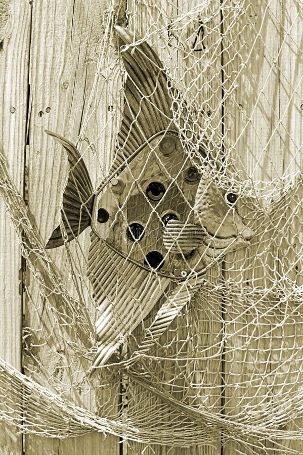 Fish Caught Net Fence Stock Photos - Free & Royalty-Free Stock Photos ...