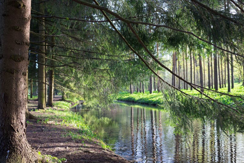 Fish Channel in the Catherine Park, on Both Sides of the Trees are ...