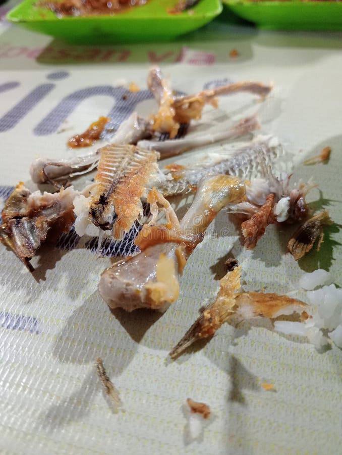 Fish and chicken bones stock photo. Image of bones, chicken - 309911526