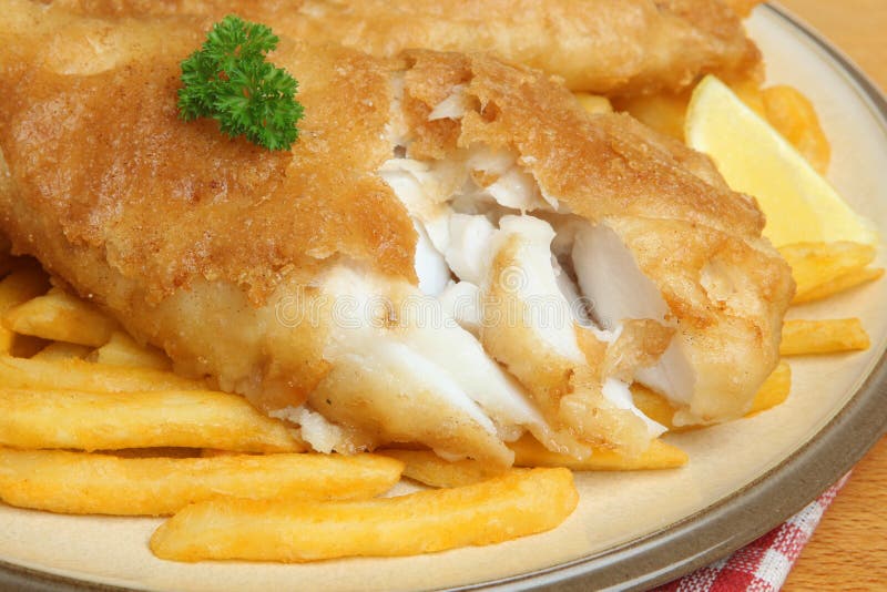 Cod Fish Fillet Meal stock photo. Image of breadcrumbs - 15509798