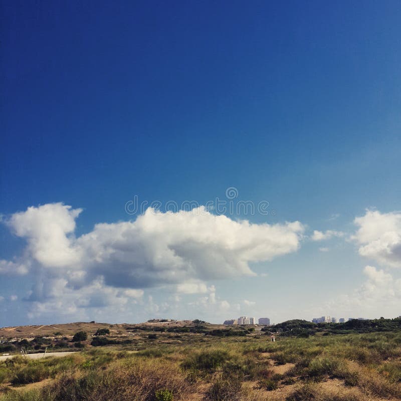 Cloud fish stock photo. Image of profile, copy, peace - 58552962