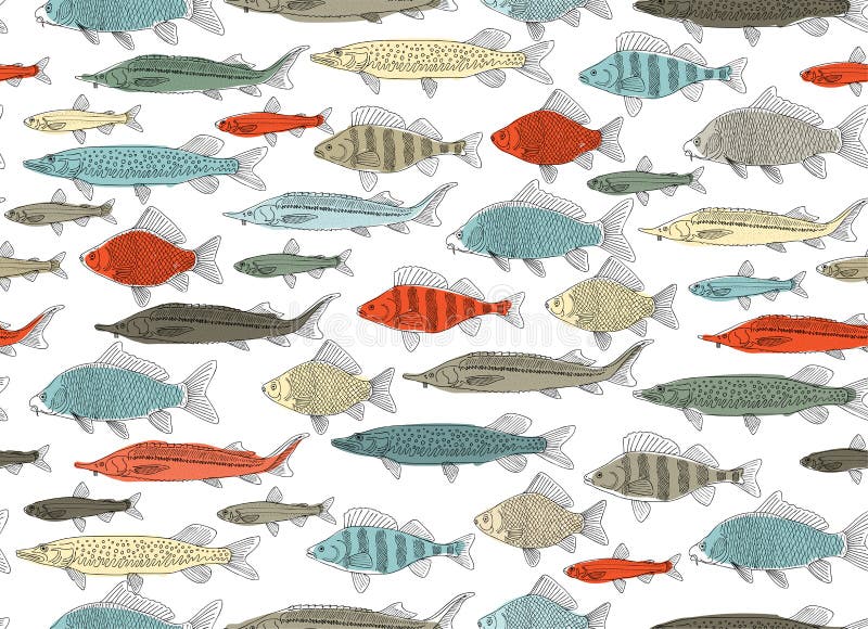 Art Fish Collection, Sketch for Your Design Stock Vector - Illustration ...