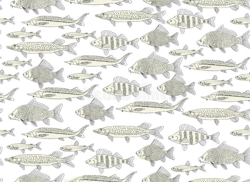 Art Fish Collection, Sketch for Your Design Stock Vector - Illustration ...