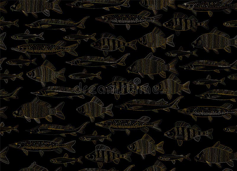 Art Fish Collection, Sketch for Your Design Stock Vector - Illustration ...