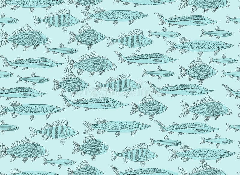 Art Fish Collection, Sketch for Your Design Stock Vector - Illustration ...
