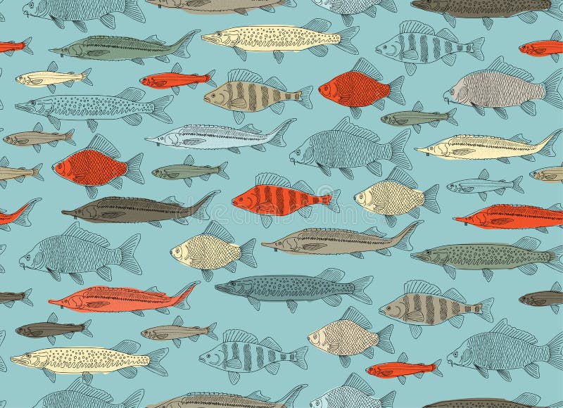 Art Fish Collection, Sketch for Your Design Stock Vector - Illustration ...