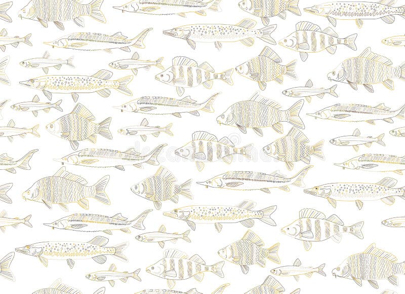 Art Fish Collection, Sketch for Your Design Stock Vector - Illustration ...