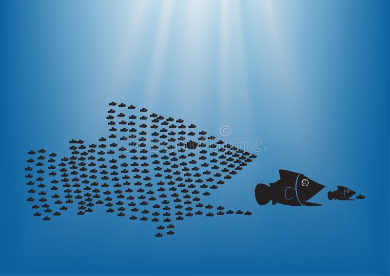 Teamwork stock image. Image of together, lots, fish, success - 53898575