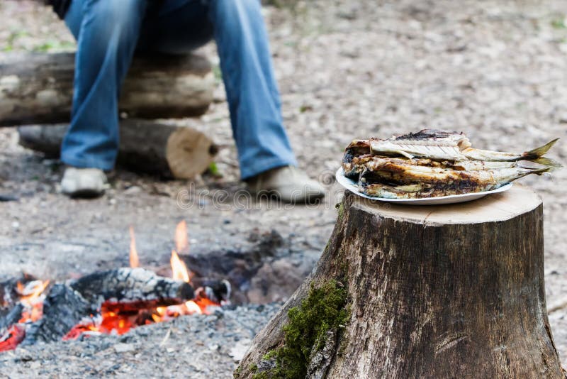 Fish cooked on fire stock photo. Image of barbecue, campfire - 90897844