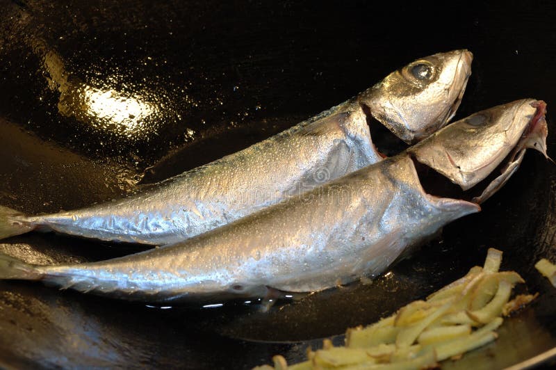 Fish on cooking stock photo. Image of marine, fire, fishes - 4613998