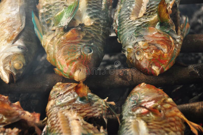 Fish of a Coral Reef Fried on the Grill. Java Stock Image - Image of ...