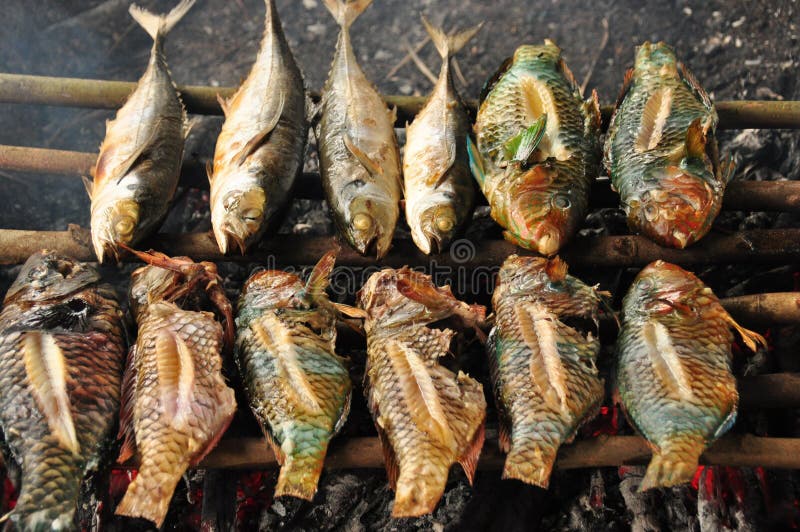 Fish of a Coral Reef Fried on the Grill. Java Stock Image - Image of ...
