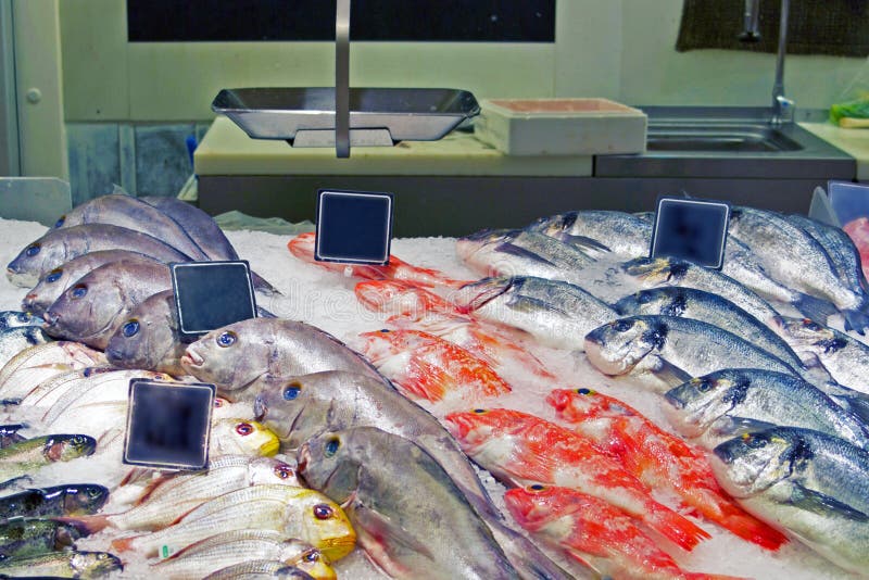 At the Fish Counter stock photo. Image of seafood, fresh - 34846434