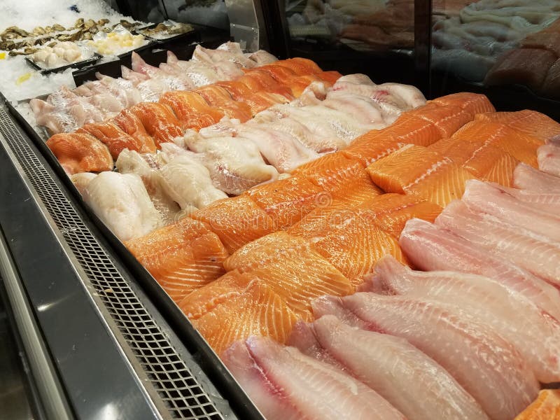 Fish counter stock image. Image of sale, salmon, fishing - 144639563