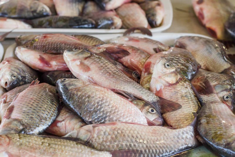Fish on the counter stock image. Image of cuisine, food - 98972595