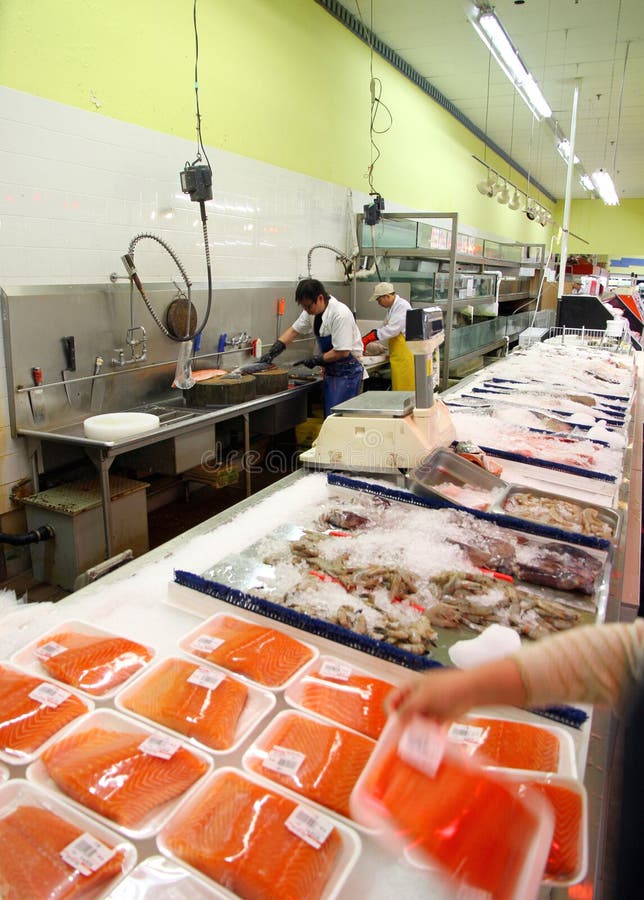 Fish counter editorial image. Image of fresh, sell, work - 33873850