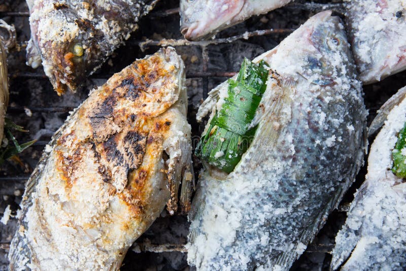 Fish cover by salt grilled stock photo. Image of healthy - 77754174
