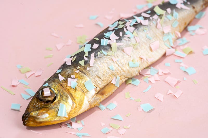 Fish Covered Microplastic on a Pink Plate. Impact of Micro Plastic on ...