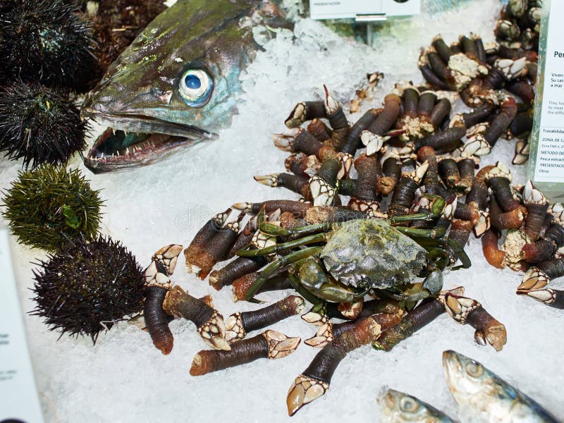 Fish, Crab and Seafood in Store Stock Photo - Image of black, barnacles ...