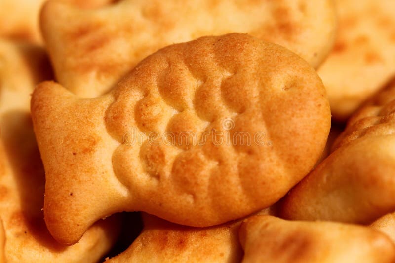 Fish crackers stock photo. Image of cookie, fishes, salted - 43741662