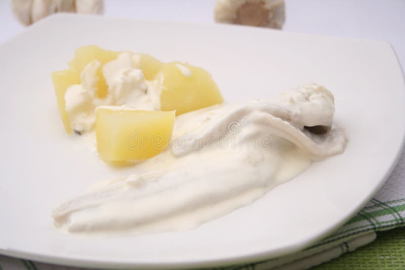 Fish in cream sauce stock image. Image of food, sauce - 37540209