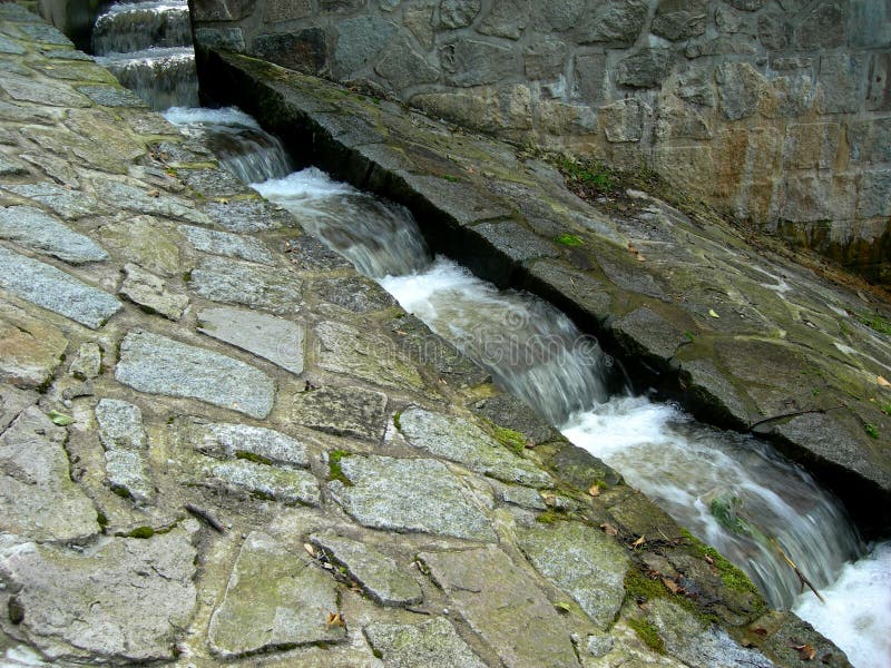 Fish crossing stock photo. Image of architecture, sluice - 4241554