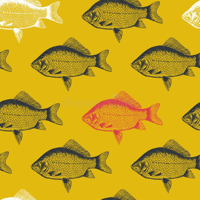 Fish Crucian Carp, Isolated Black and White, Side View. Stock ...