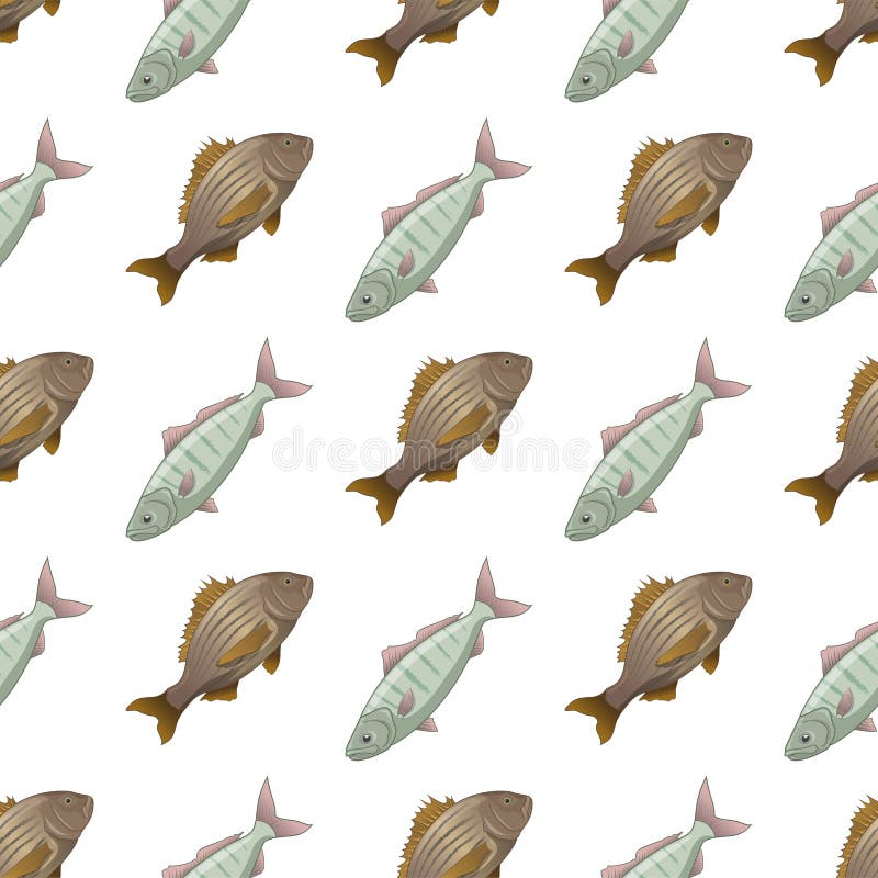 Fish Crucian Carp Seamless Pattern, Side View Stock Vector ...