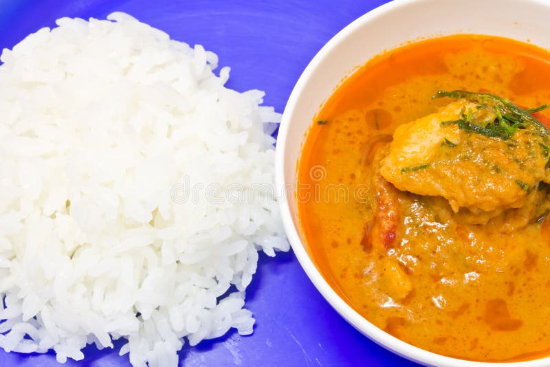 Fish curry and cooked rice stock image. Image of cookedrice - 42015665