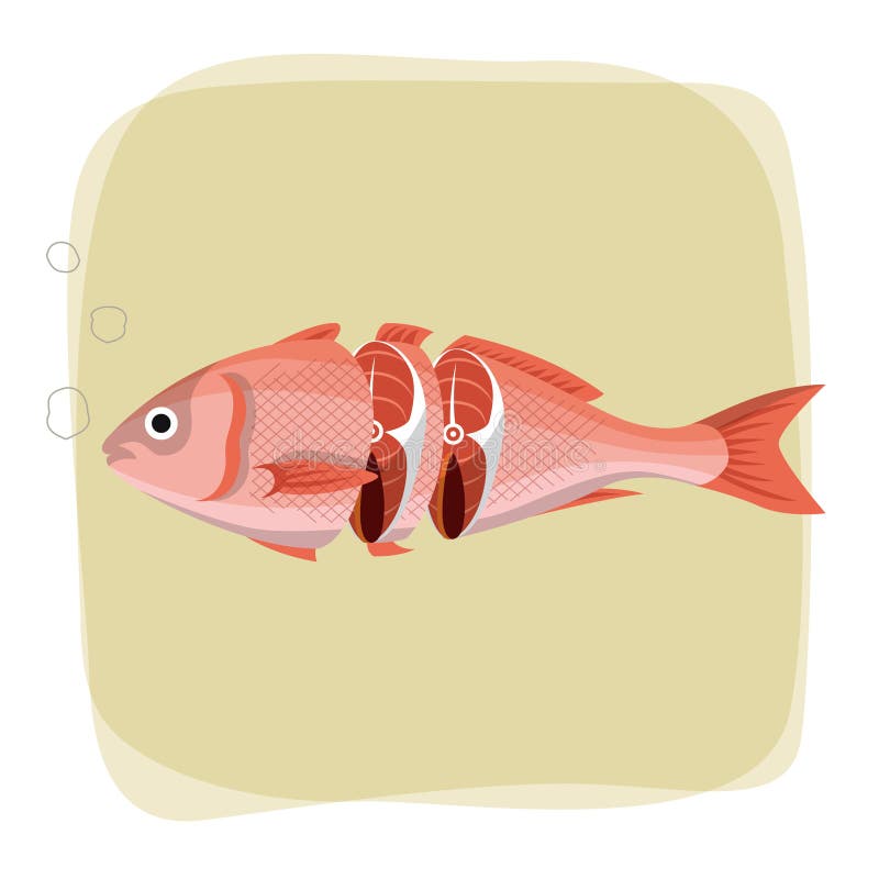Fish Cut Concept. Vector Illustration Decorative Design Stock Vector ...