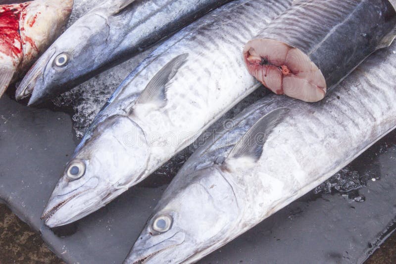 Fish cut stock image. Image of seafood, trout, fillet - 49946647