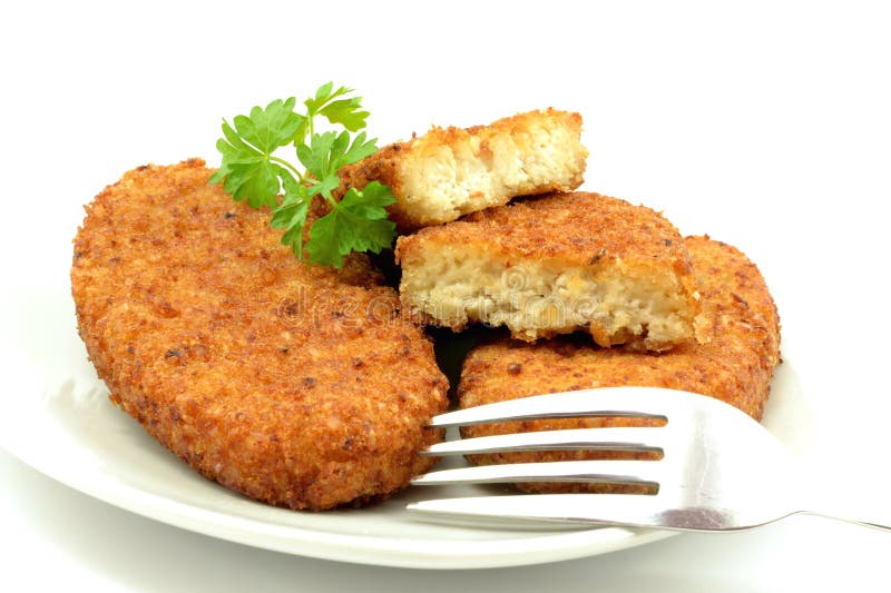 Fish cutlet stock photo. Image of fried, fish, meat - 310826164